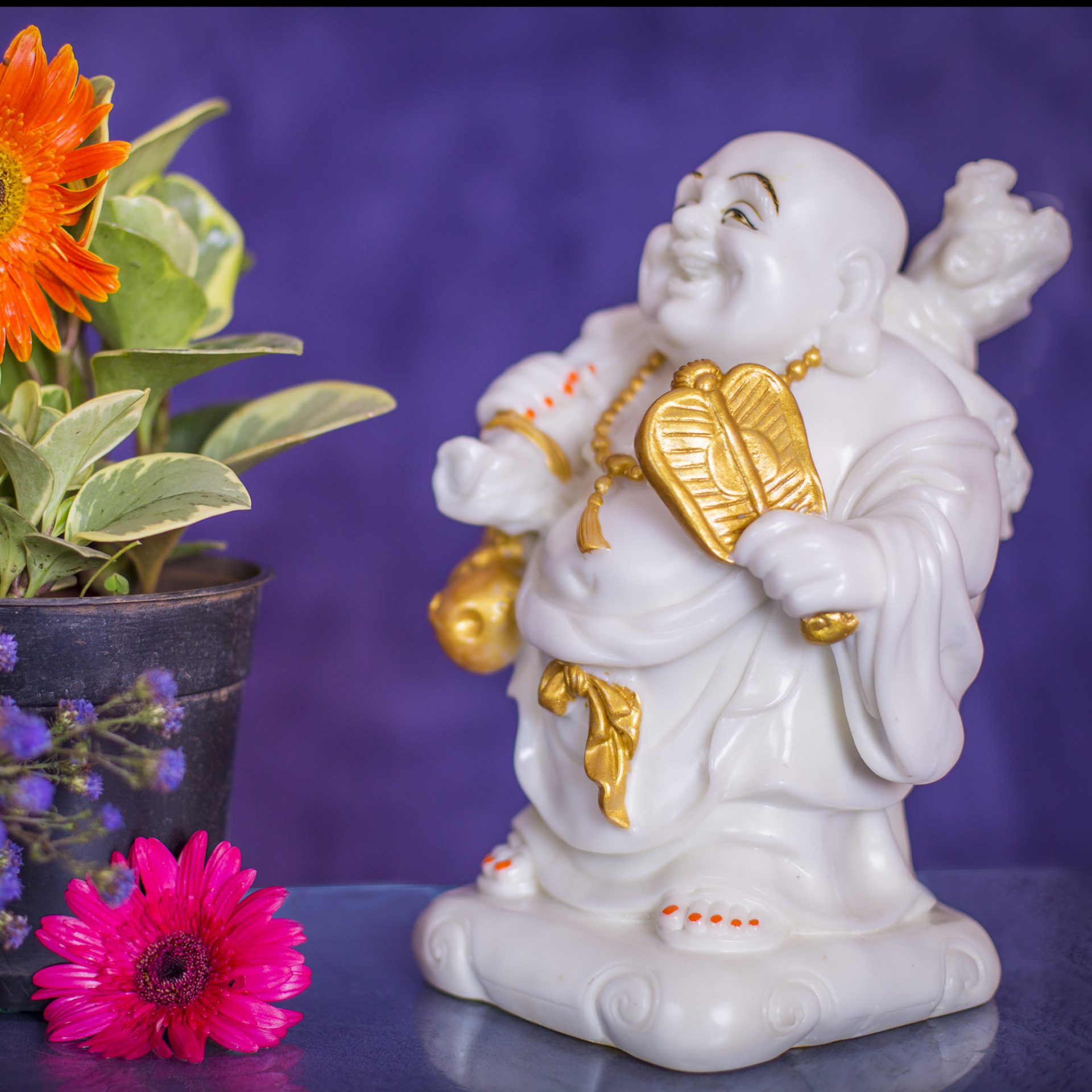 Buy Feng Shui Laughing Buddha online | Trogons.com